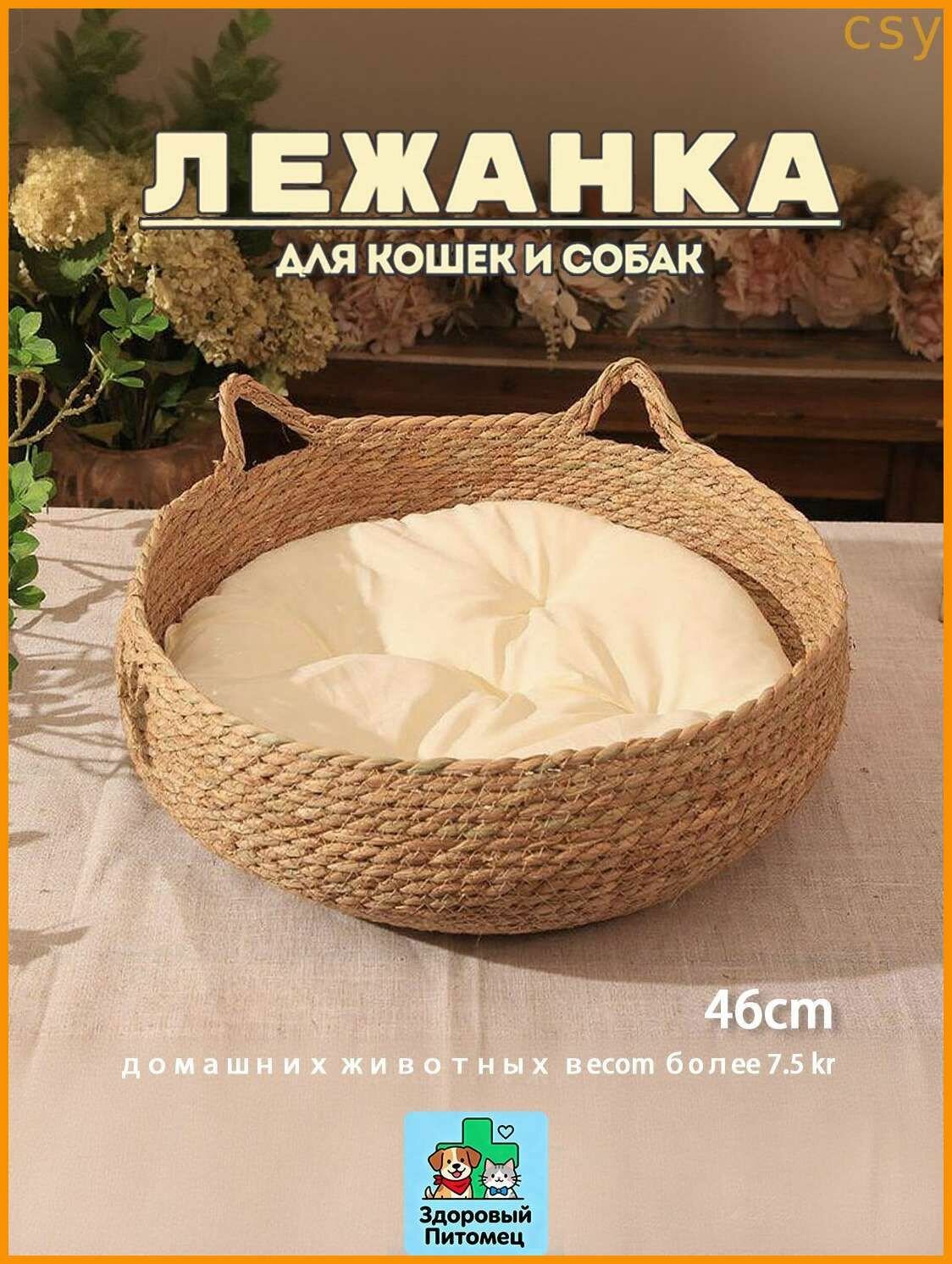 Самый популярный в 2025 годуЛежак для животных