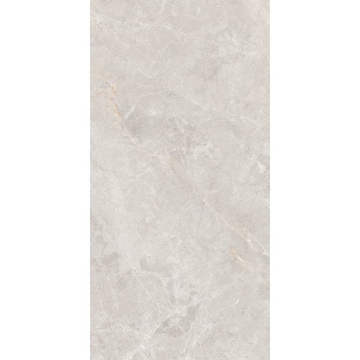 Керамогранит Global Tile Montera GT1206018106MCR 60x120 Матовая Серый