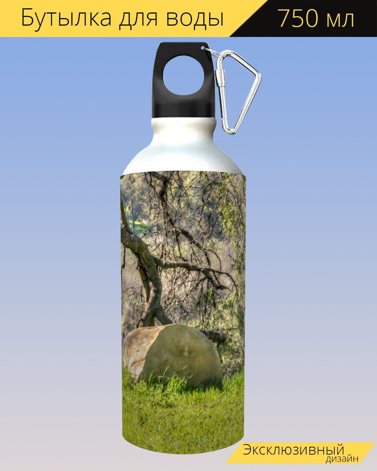 Бутылка фляга для воды "Деревья и бревно большое бревно на траве перед деревьями дерево деревья журнал бревна трава сельская местность свободно." 750 мл. с карабином и принтом