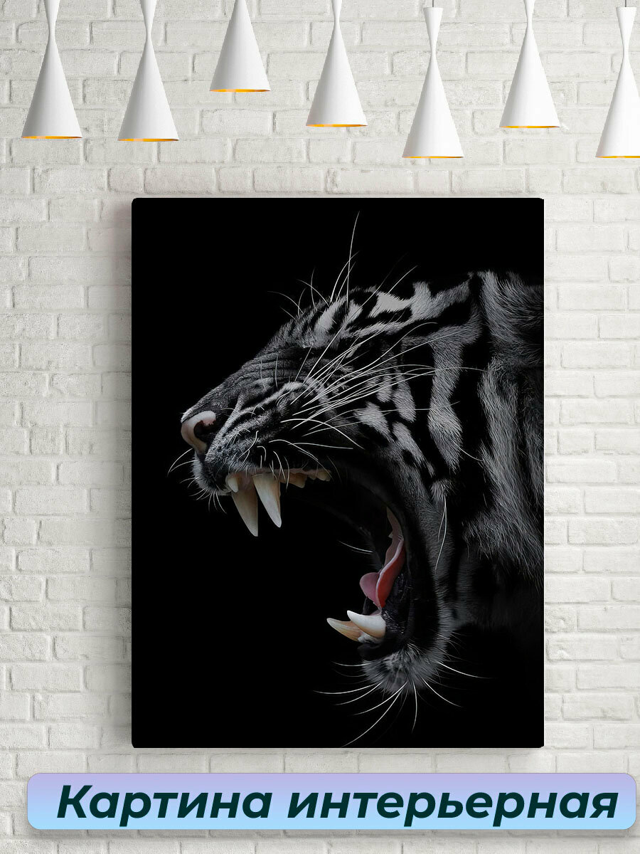 Картины для интерьера 30х40 Тигр белый зубы оскал