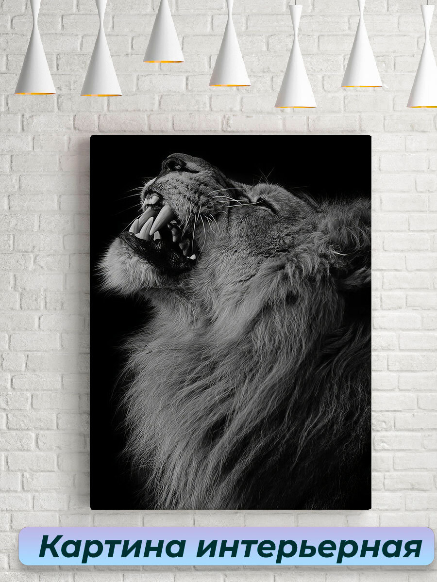 Картины для интерьера 30х40 Лев черно-белый фон