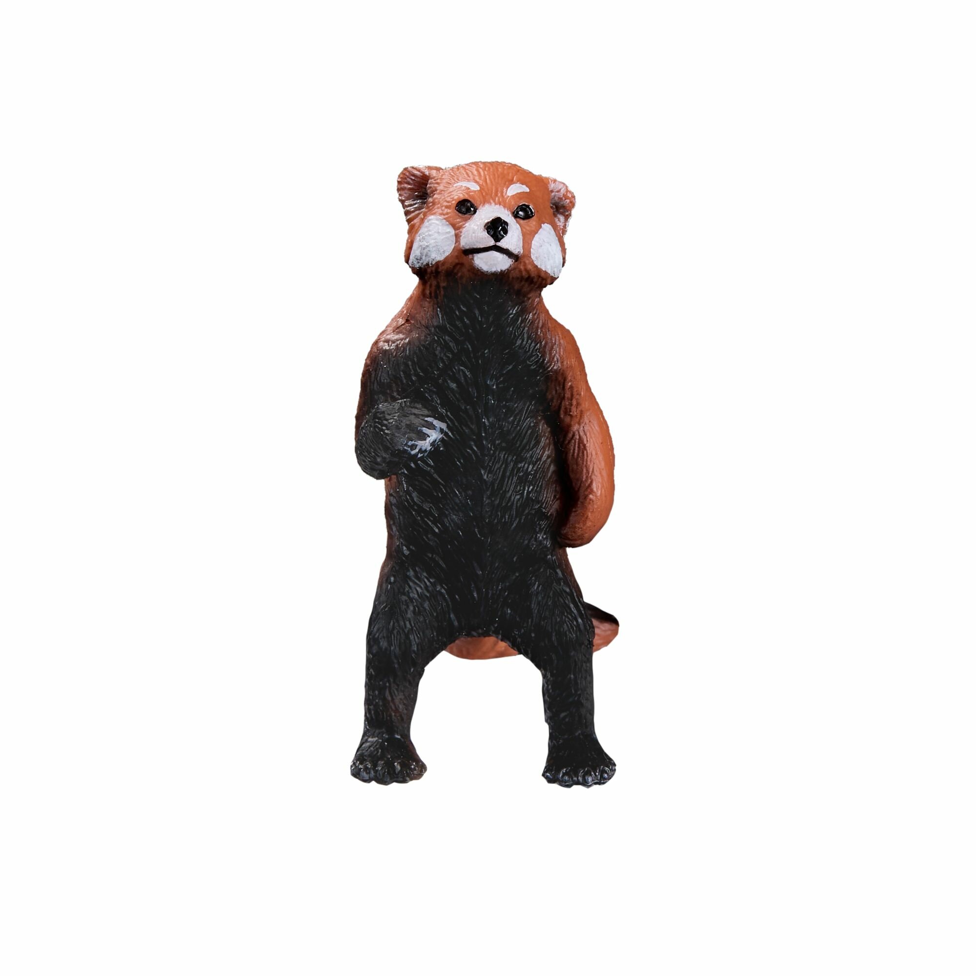 Фигурка-игрушка KONIK WILDLIFE Красная панда AMW2121, коллекционная фигурка