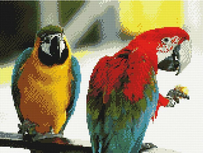 Попугаи 913011