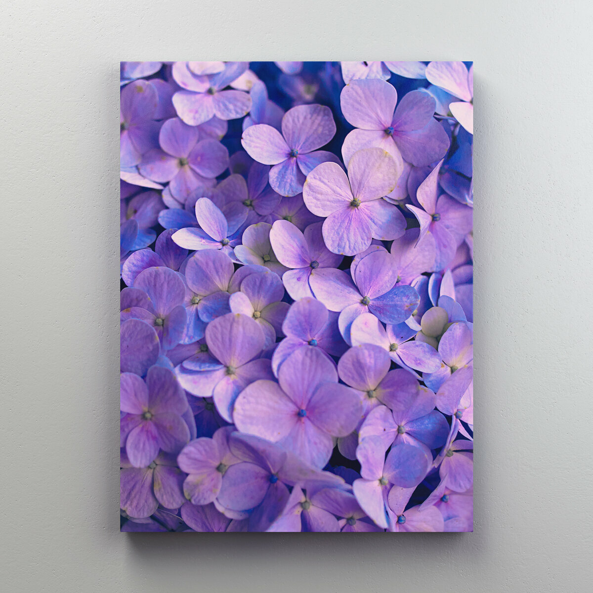 Интерьерная картина на холсте "Макросъемка цветы гортензии" растения, размер 30x40 см