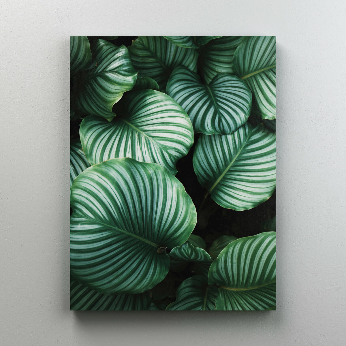 Интерьерная картина на холсте "Тропические листья Калатея" в скандинавском стиле, размер 22x30 см