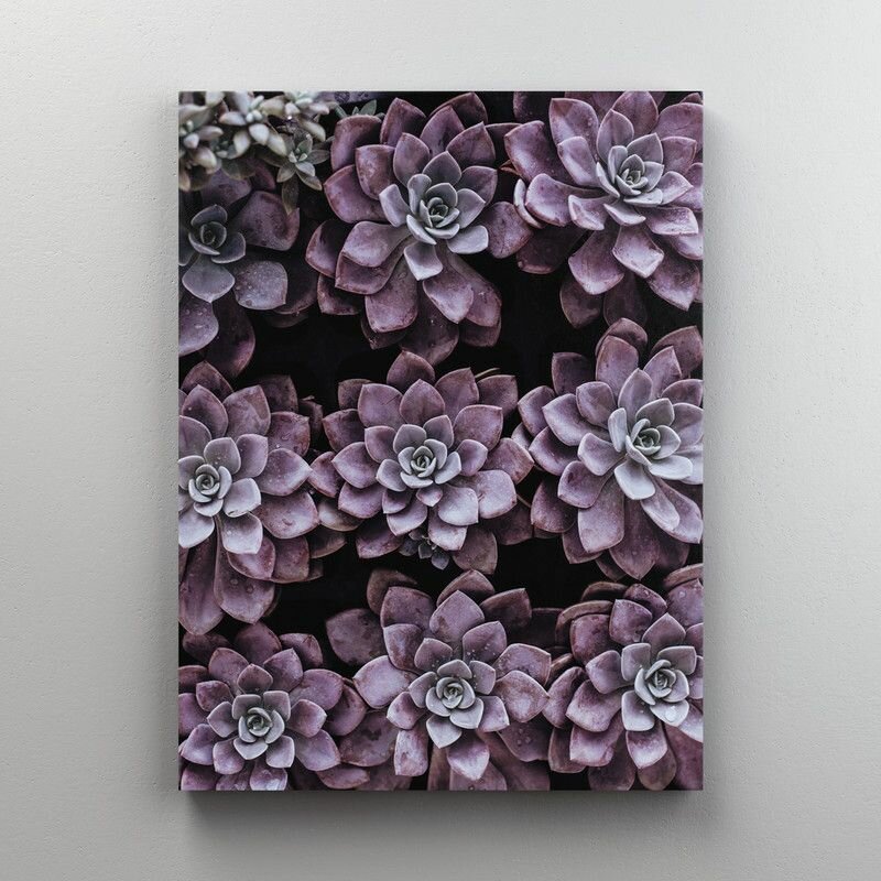Интерьерная картина на холсте "Суккулент каменная роза - в розовых оттенках" размер 45x60 см