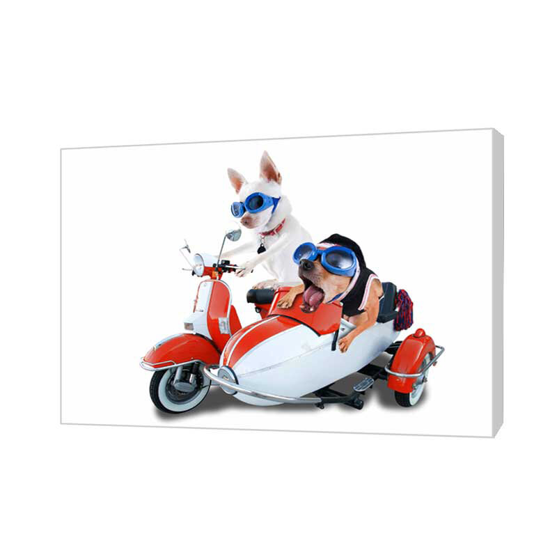 Картина на холсте Собаки на мотоцикле, 50х70 см