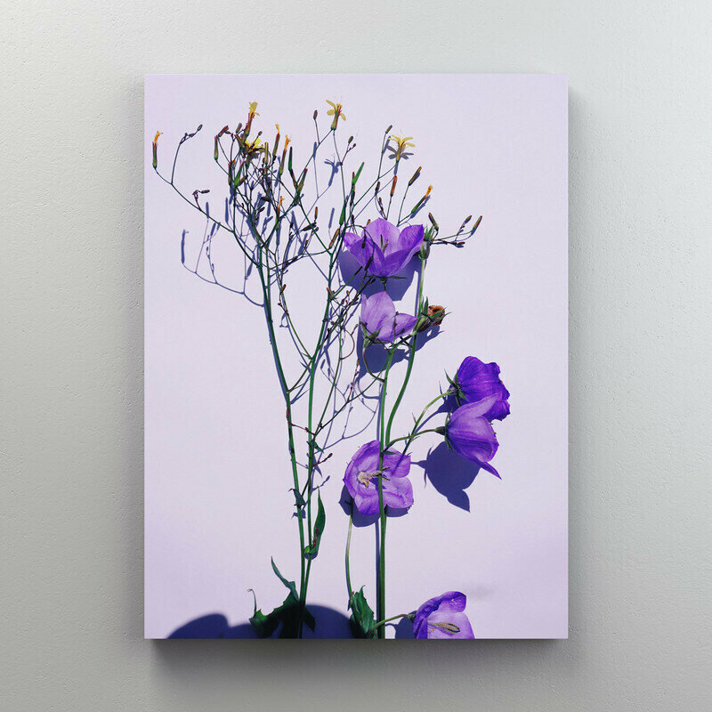 Интерьерная картина на холсте "Цветы - фиолетовый колокольчик" размер 22x30 см
