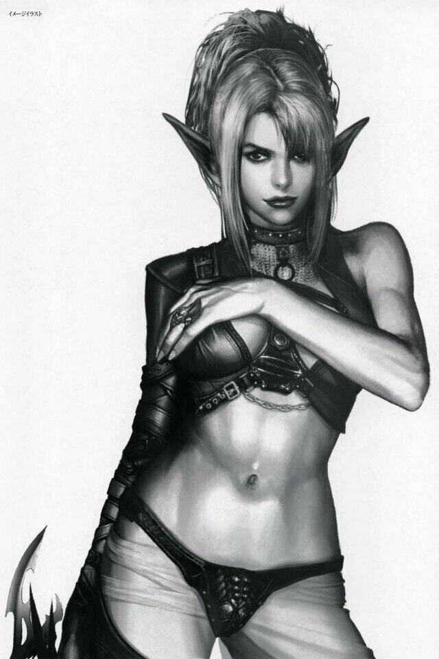Плакат, постер Линейдж 2/Lineage 2 на бумаге, размер 21х30см