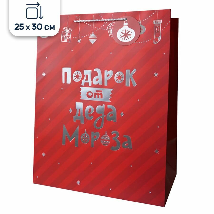 Пакет подарочный на Новый год, Подарок от Деда Мороза, 25х11х30 см