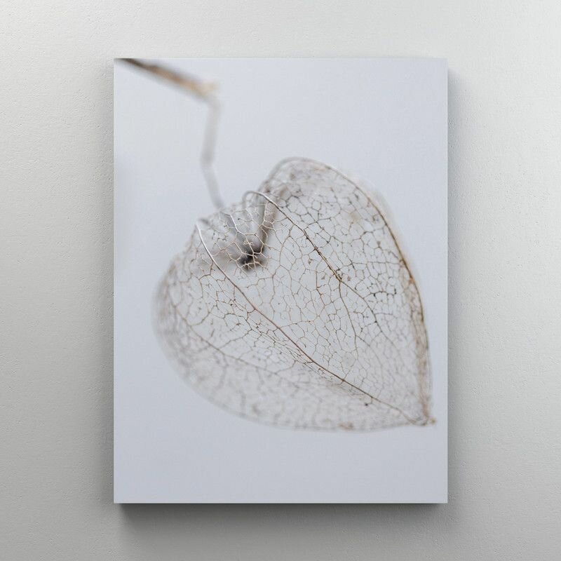 Интерьерная картина на холсте "Сухоцвет Физалис - в скандинавском стиле" размер 45x60 см