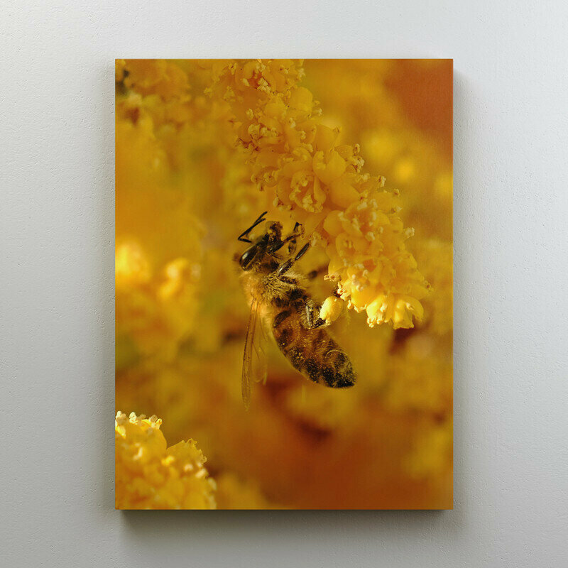 Интерьерная картина на холсте "Макросъемка оса в цветах", размер 22x30 см