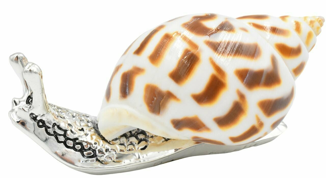 Статуэтка улитка, коричневая, L6-85