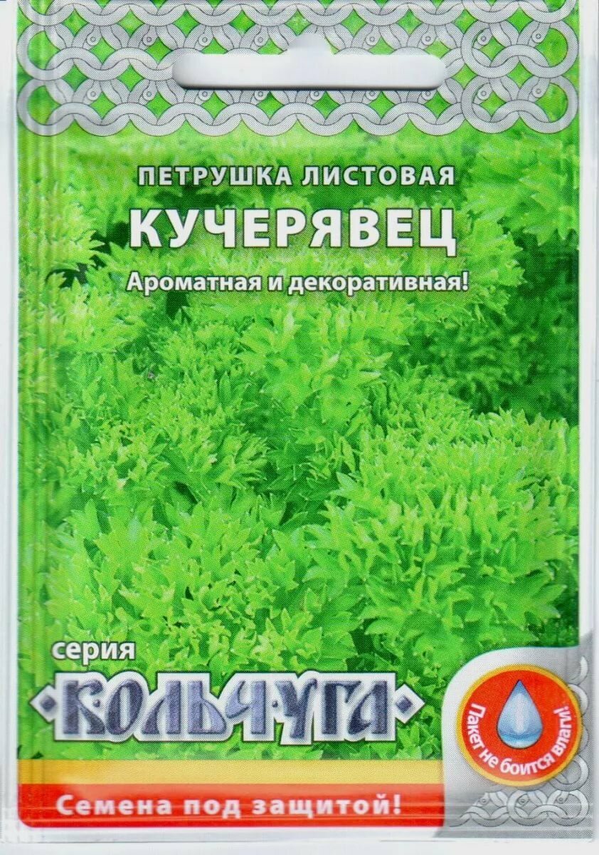 Набор. Петрушка листовая Кучерявец "Кольчуга" 2г . Комплект из 2 шт.