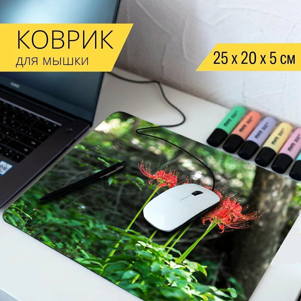 Коврик для мыши с принтом "Красная лилия паука, корея, инчхон" 25x20см.