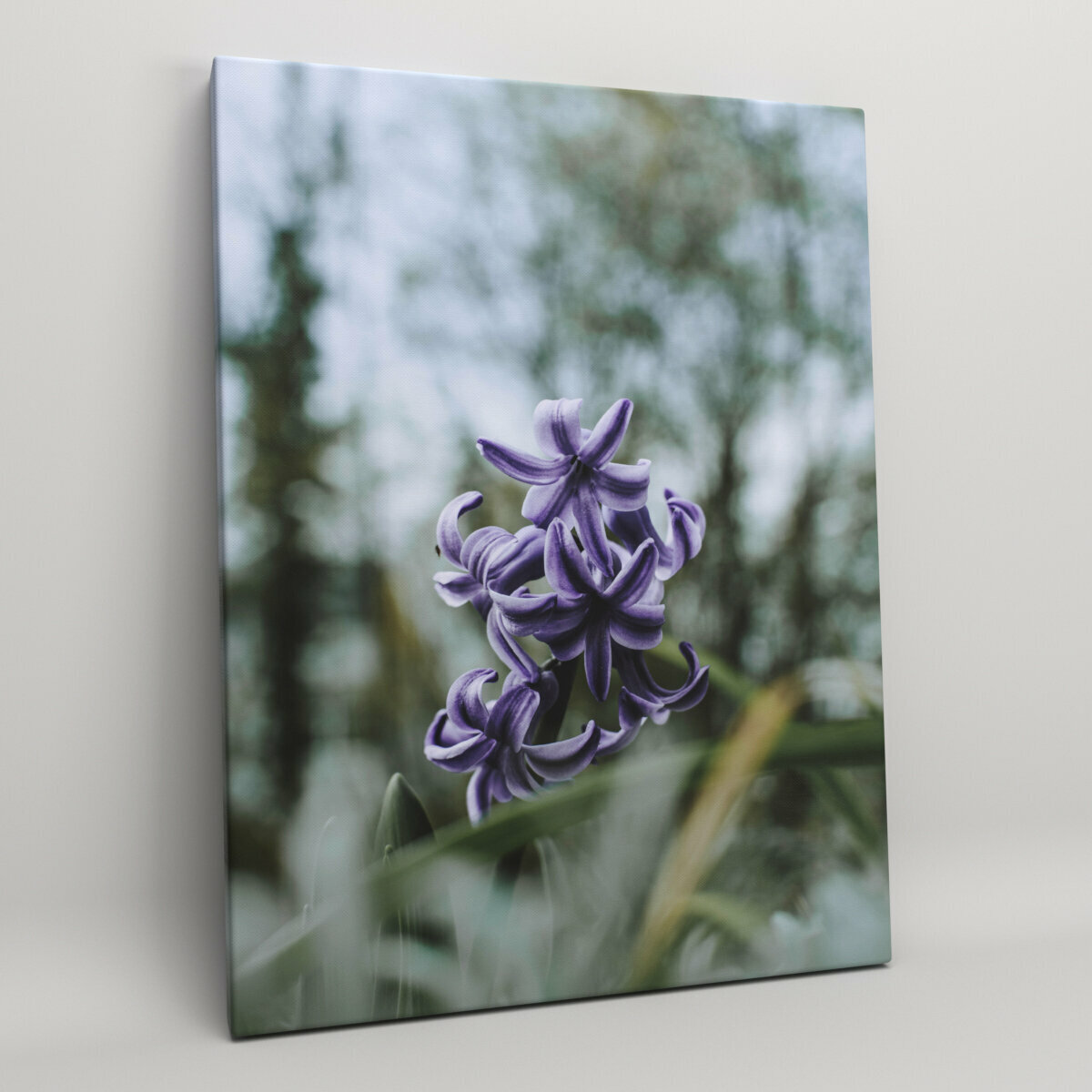Картина на холсте (интерьерный постер) "Фиолетовый гиацинт" для кухни, кафе и ресторанов, с деревянным подрамником, размер 30x40 см