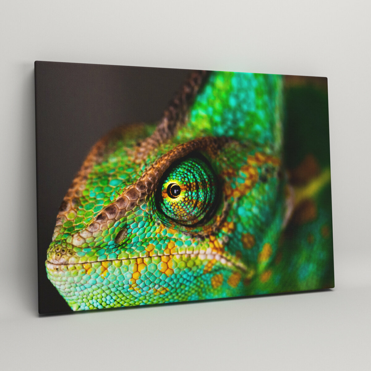 Картина на холсте (интерьерный постер) "Хамелеон", с деревянным подрамником, размер 40x30 см