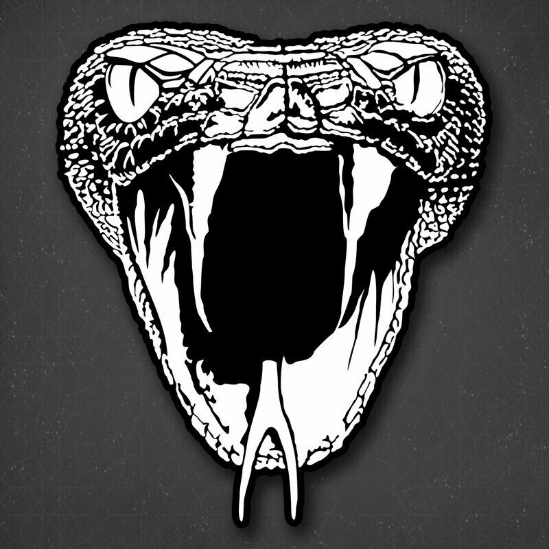 Наклейка на авто "Гремучая змея" 19x21 см