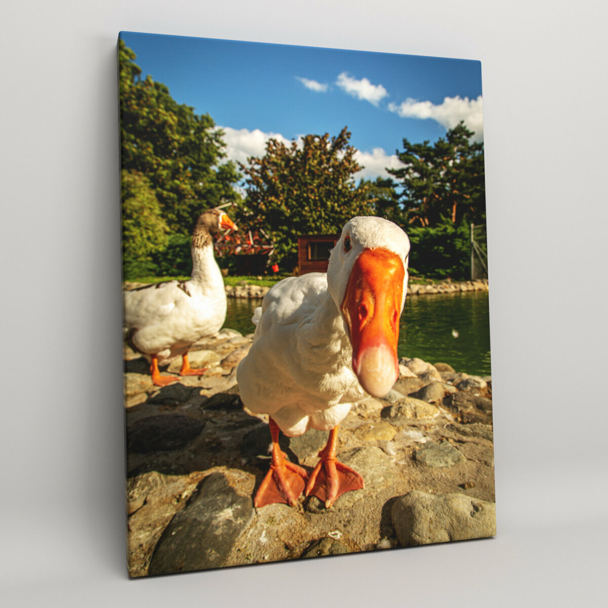 Картина на холсте (интерьерный постер) "Прикольный гусь", с деревянным подрамником, размер 30x40 см