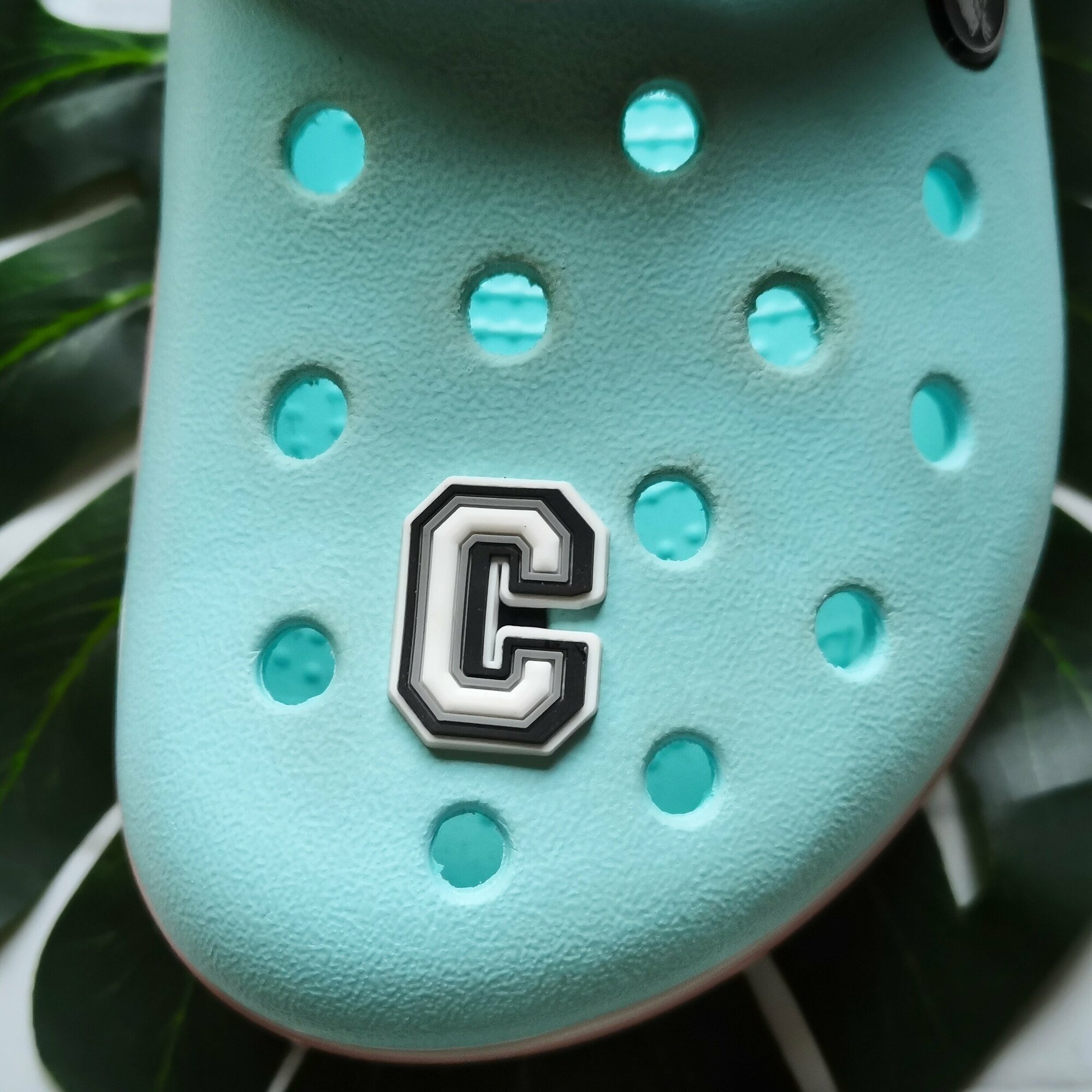 Джибитсы для крокс с буквой