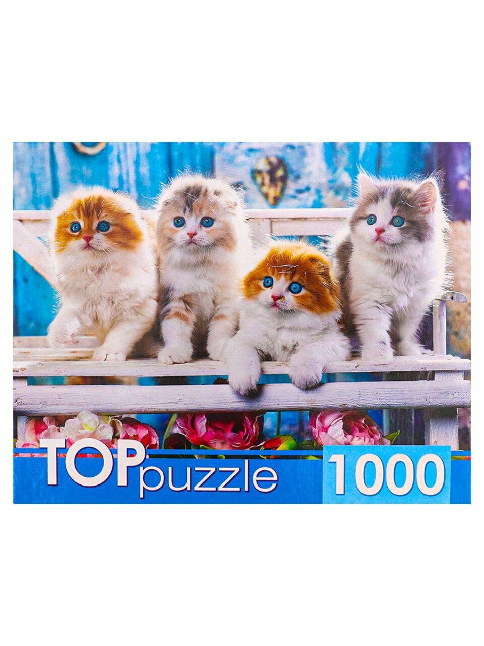 Пазл TOPpuzzle "Котята скоттиш фолд", 1000 элементов, 5+, бумага, картон