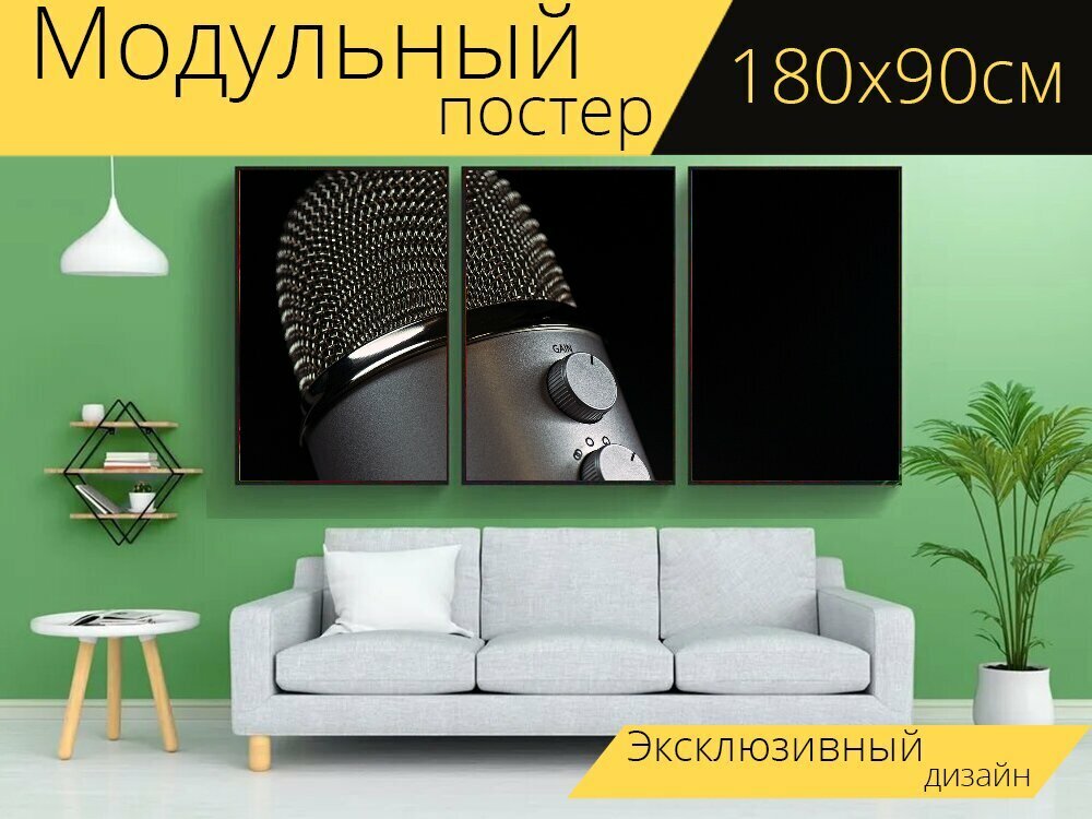 Модульный постер "Микрофон, вокал, сми" 180 x 90 см. для интерьера