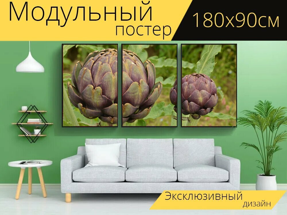 Модульный постер "Артишок, овощной, фиолетовый" 180 x 90 см. для интерьера