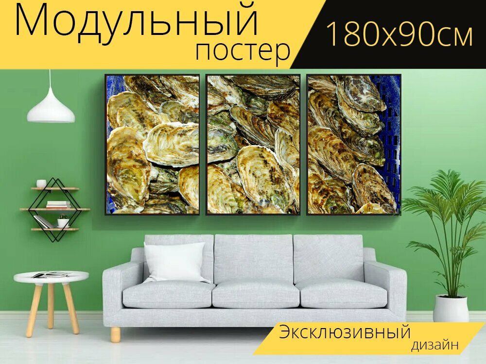 Модульный постер "Устрицы, франция, ракушки" 180 x 90 см. для интерьера