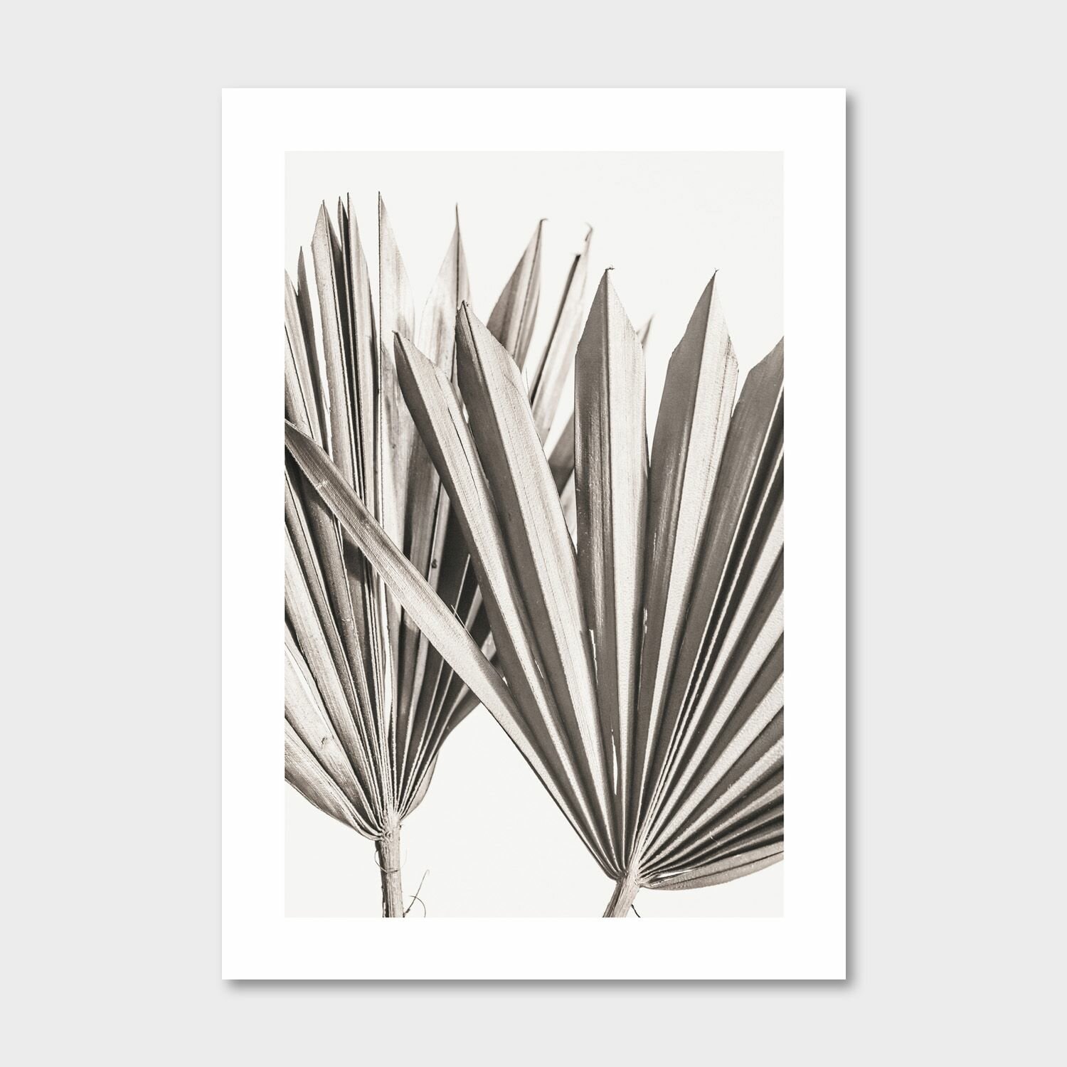 Постер для интерьера Postermarkt, Бежевая Пальма №1, 50х70 см
