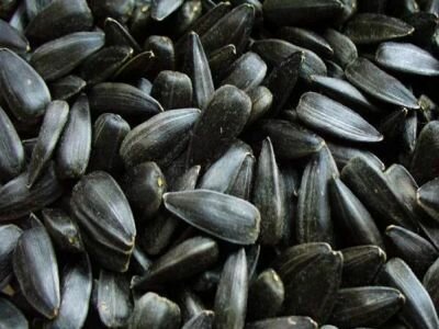 Семечки 5 кг для птиц Пернатое счастье