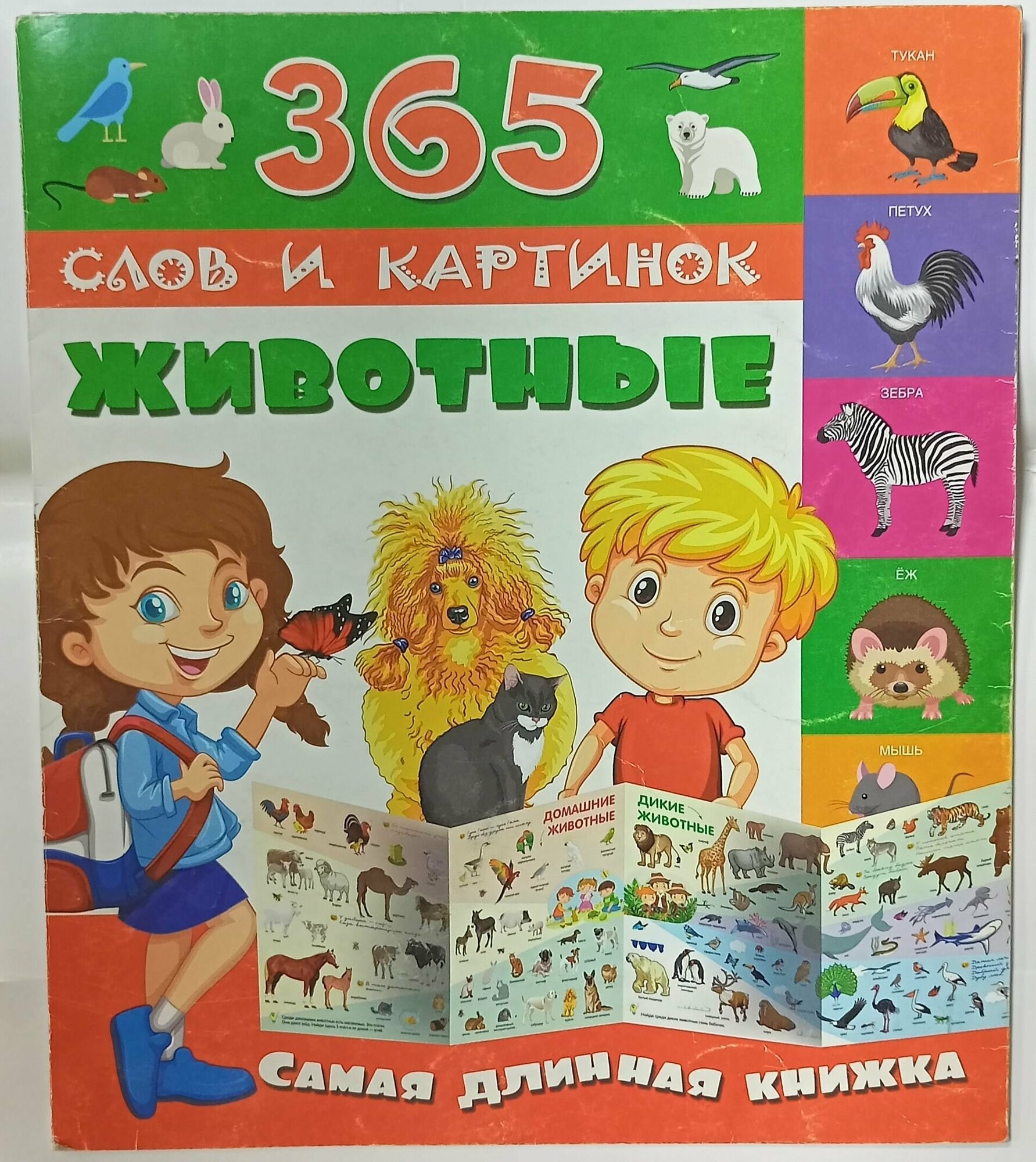 365 слов и картинок. Животные
