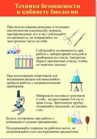 Стенд "Техника безопасности в кабинете биологии" пластик 3 мм размер 680х980 мм