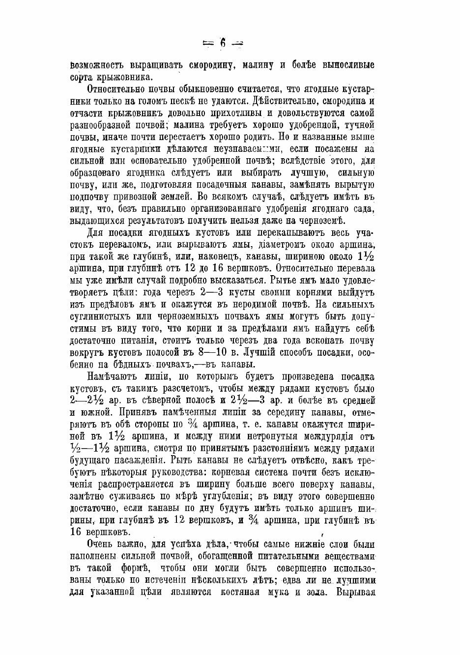 Ягодные кустарники — фото 1