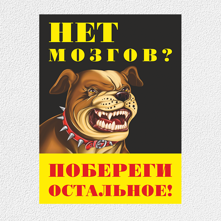 Табличка "Нет мозгов, побереги остальное", 40х30 см, ПВХ