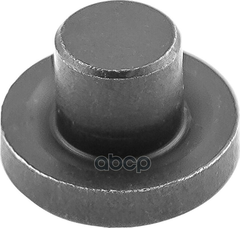 Пуансон 10 мм для набора DFTS10 THORVIK арт. DFTS10-5