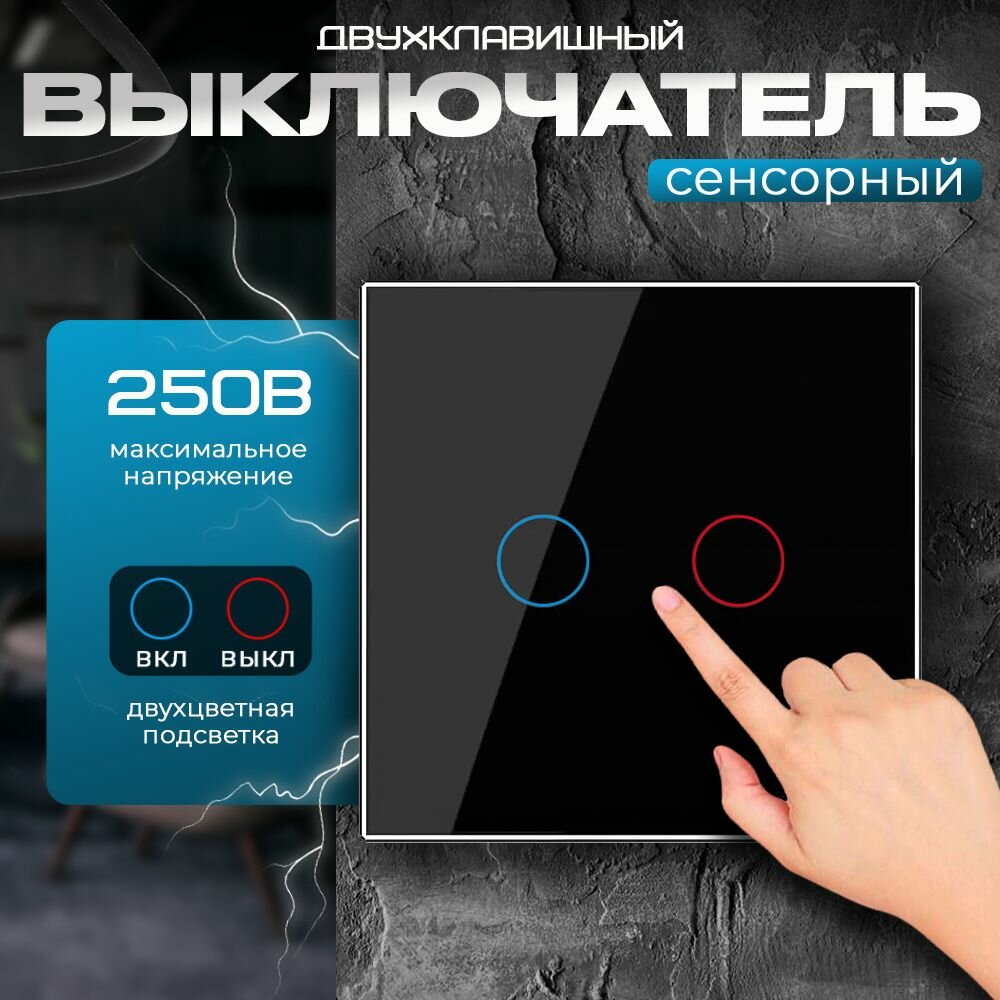 Выключатель двухклавишный сенсорный Livolo черный
