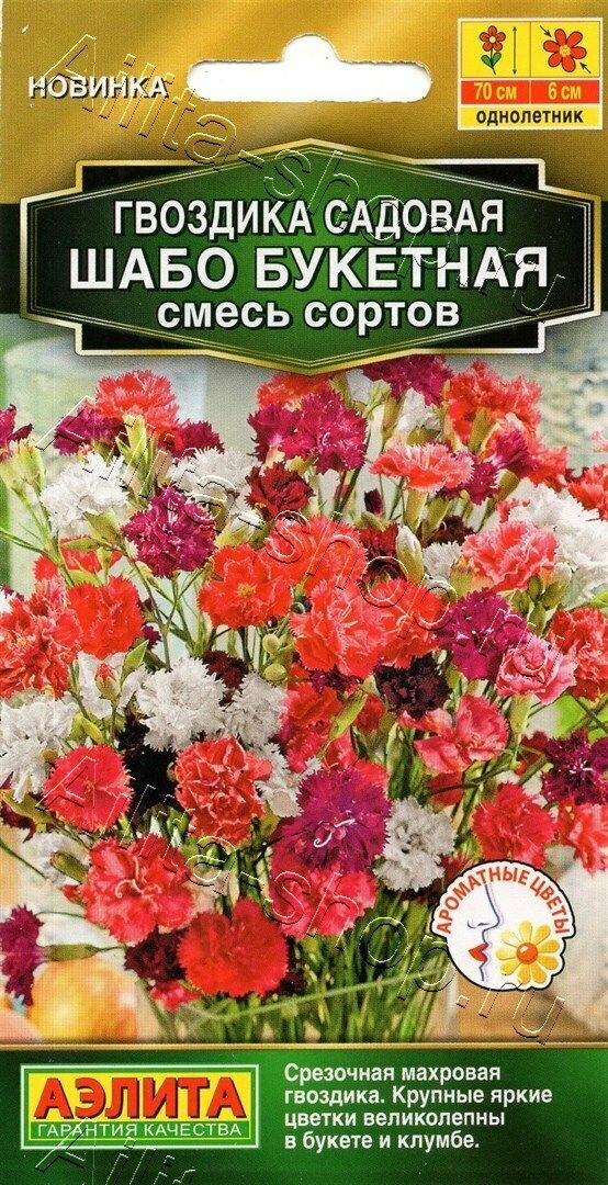 Гвоздика махровая Шабо букетная (3 упаковки), смесь окрасок