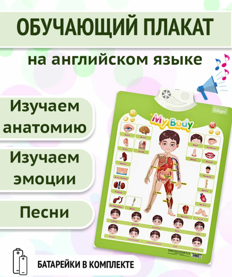 Обучающий электронный плакат "My body" / "Моё тело" на английском языке