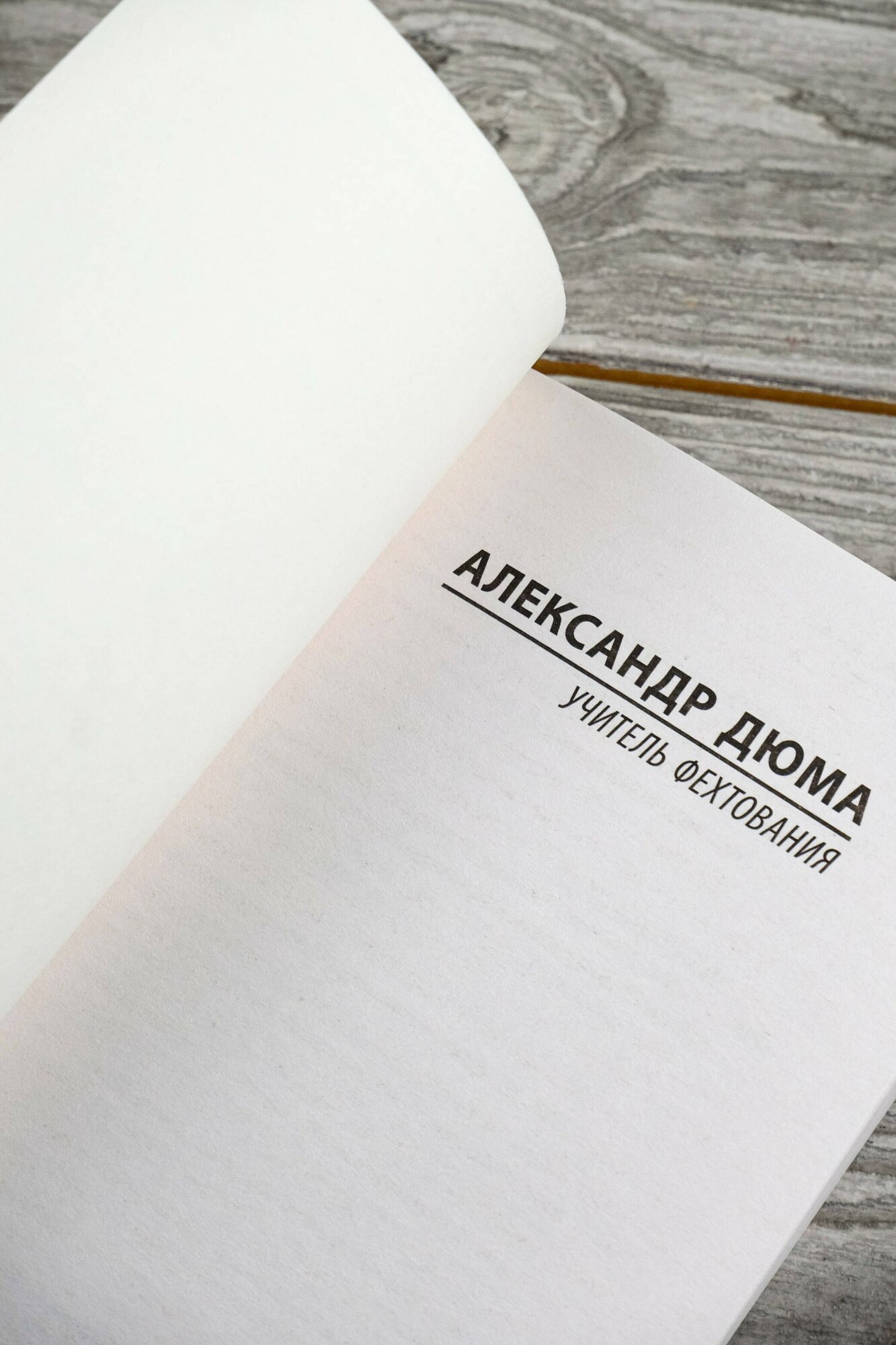 Учитель фехтования — фото 1