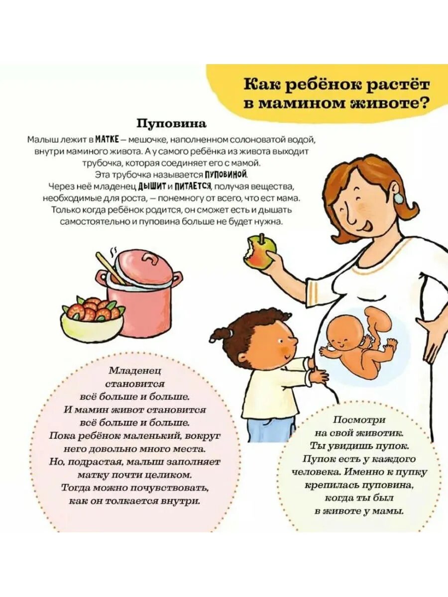 Откуда берутся дети — фото 1