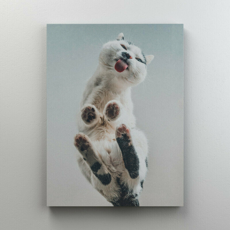 Интерьерная картина на холсте "Котик и пушистые лапки" размер 22x30 см