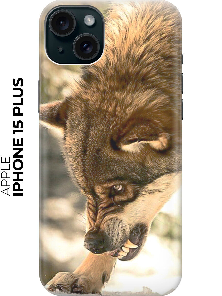 Силиконовый чехол на Apple iPhone 15 Plus / Эпл Айфон 15 Плюс с рисунком "Лютый волк"