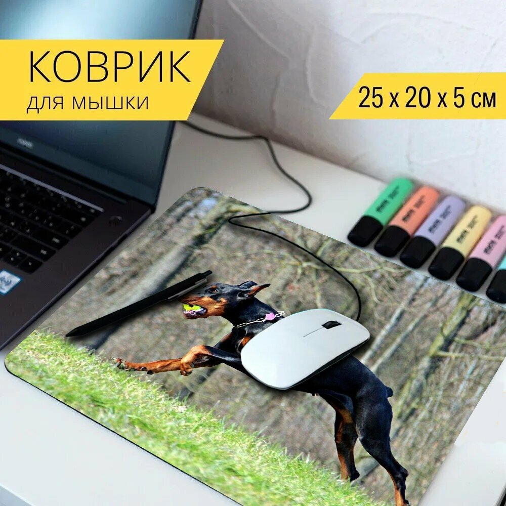 Коврик для мыши с принтом "Запуск, доберман, игра" 25x20см.