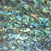 Натуральный перламутр Л009, лист 240*140*0.2 мм