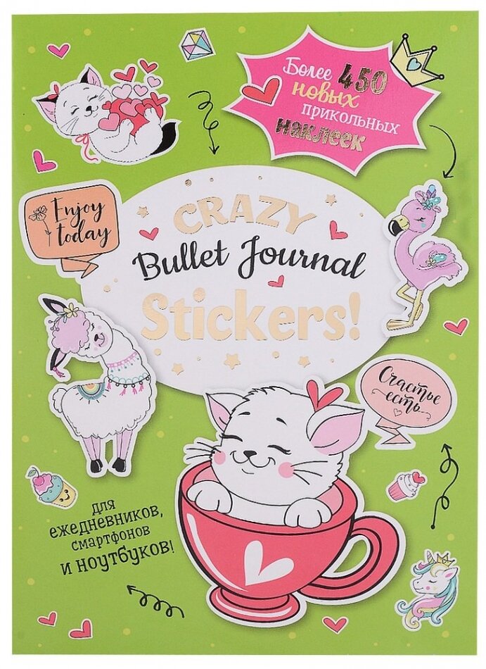 Наклейки Crazy Bullet Journ6al Stickers