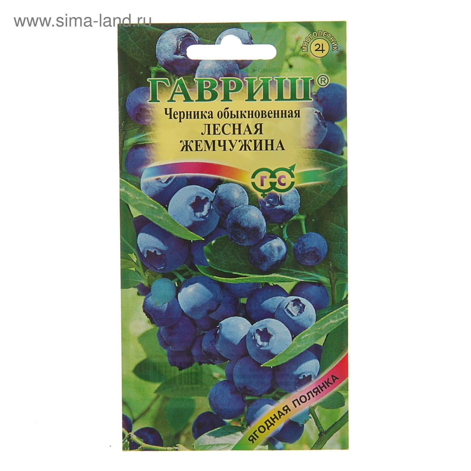 Семена Черника обыкновенная "Лесная жемчужина", ц/п, 30 шт.