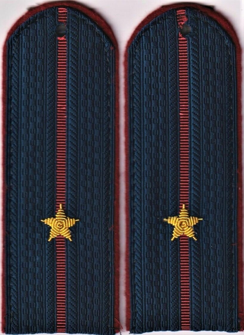 Погоны фсин на куртку ( с хлястиком) , младший лейтенант