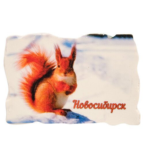 Магнит Новосибирск МТ-54/1 113-7011172