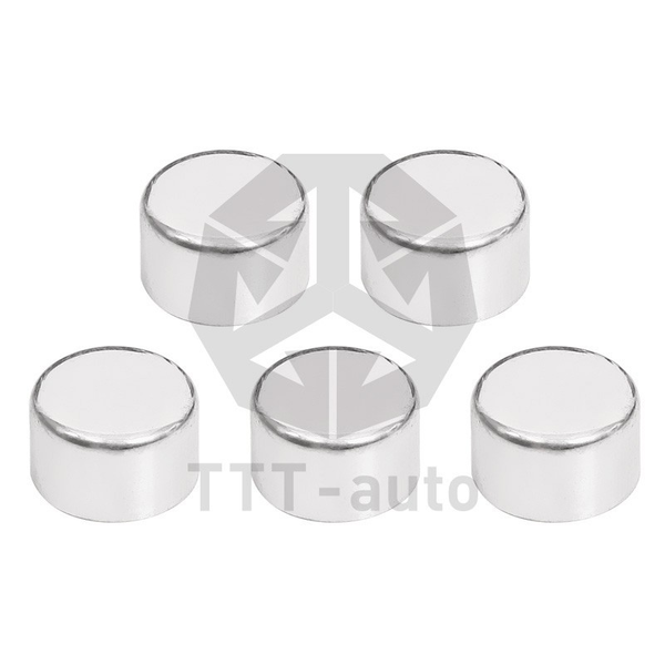 TTT 15733 крышка направлющих суппорта (d 40 / 24,5 mm) комплект 5 шт. knorr (sb7 sk7 st7)