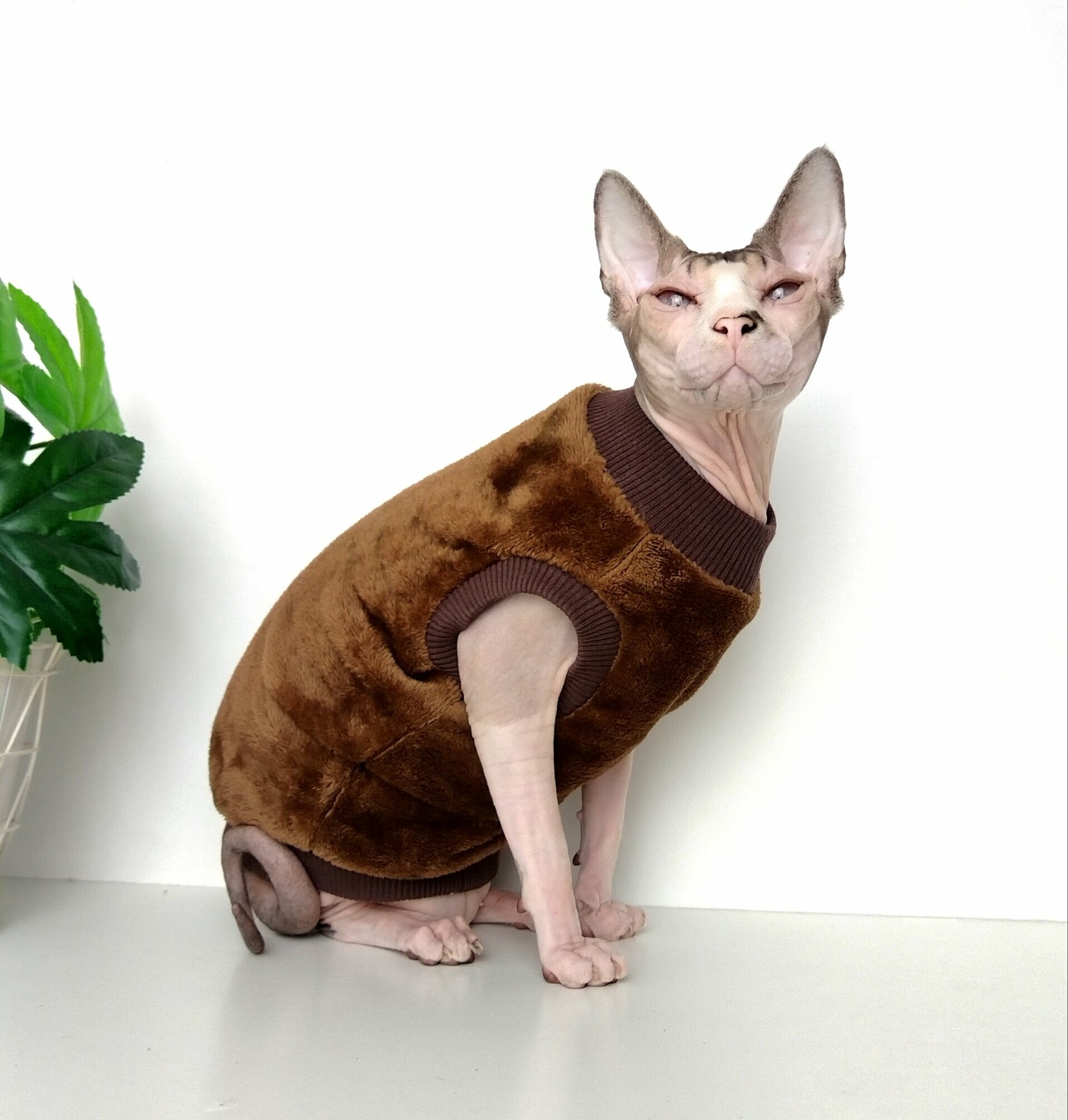 Толстовка, свитер, шуба для кошек сфинкс, размер 40 (длина спины 40см), цвет коричневый/ Одежда для кошек сфинкс / одежда для животных